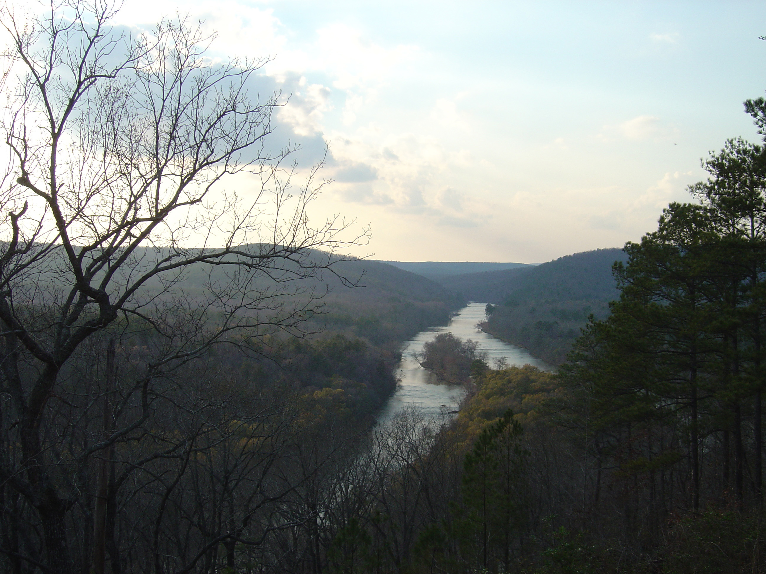 6 Places You Have to Hunt in Georgia – Georgia Wildlife Blog