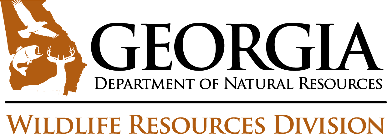 Georgia Wildlife Blog