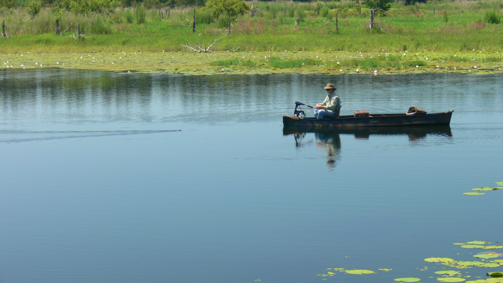 6 Topwater Fishing Tips to Up Your Angling Game | Georgia Wildlife Blog