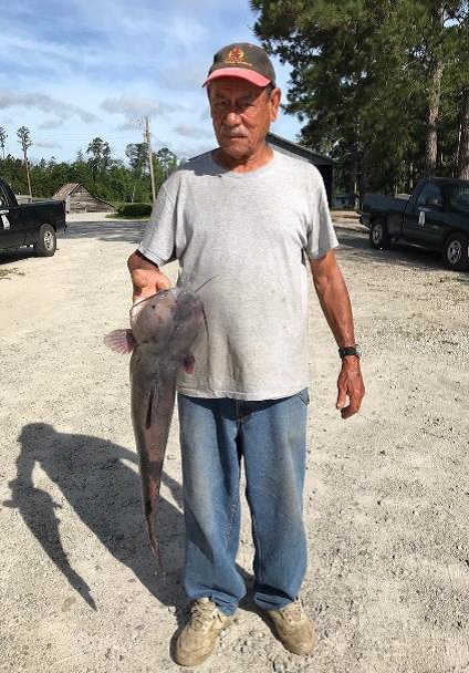 CentralMcDuffie Catfish – Georgia Wildlife Blog