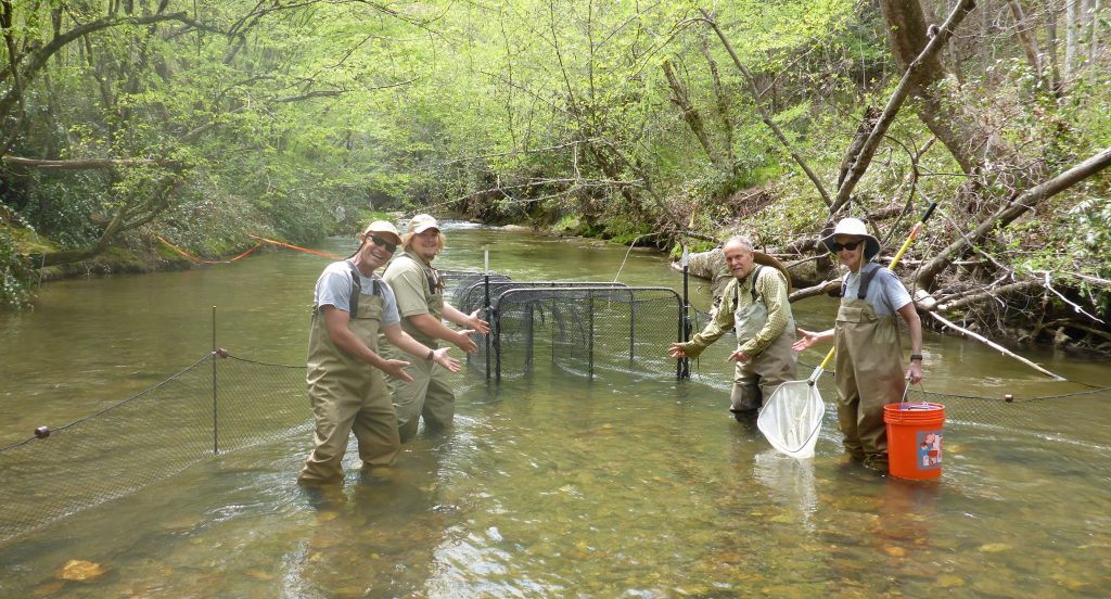 I Like Fyke: Special Net Key for Rare Fish Studies | Georgia Wildlife Blog