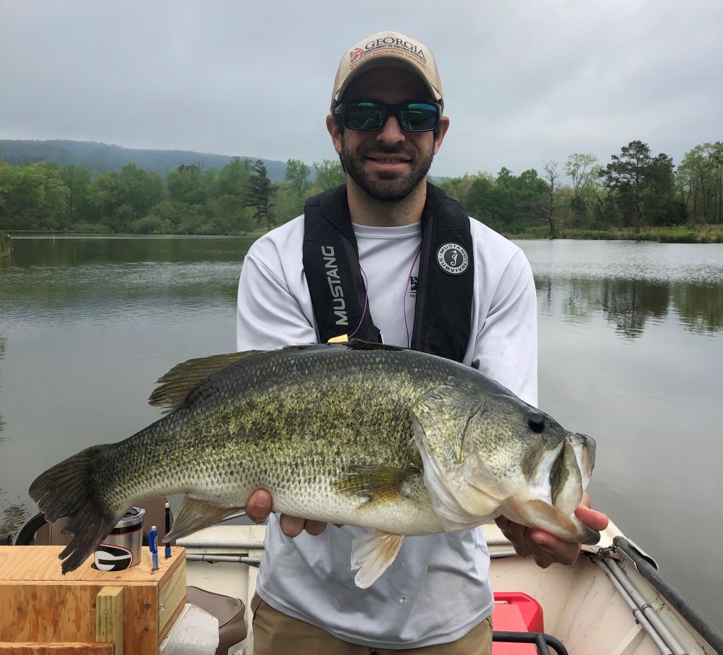 Arrowhead LMB 4_2020 – Georgia Wildlife Blog