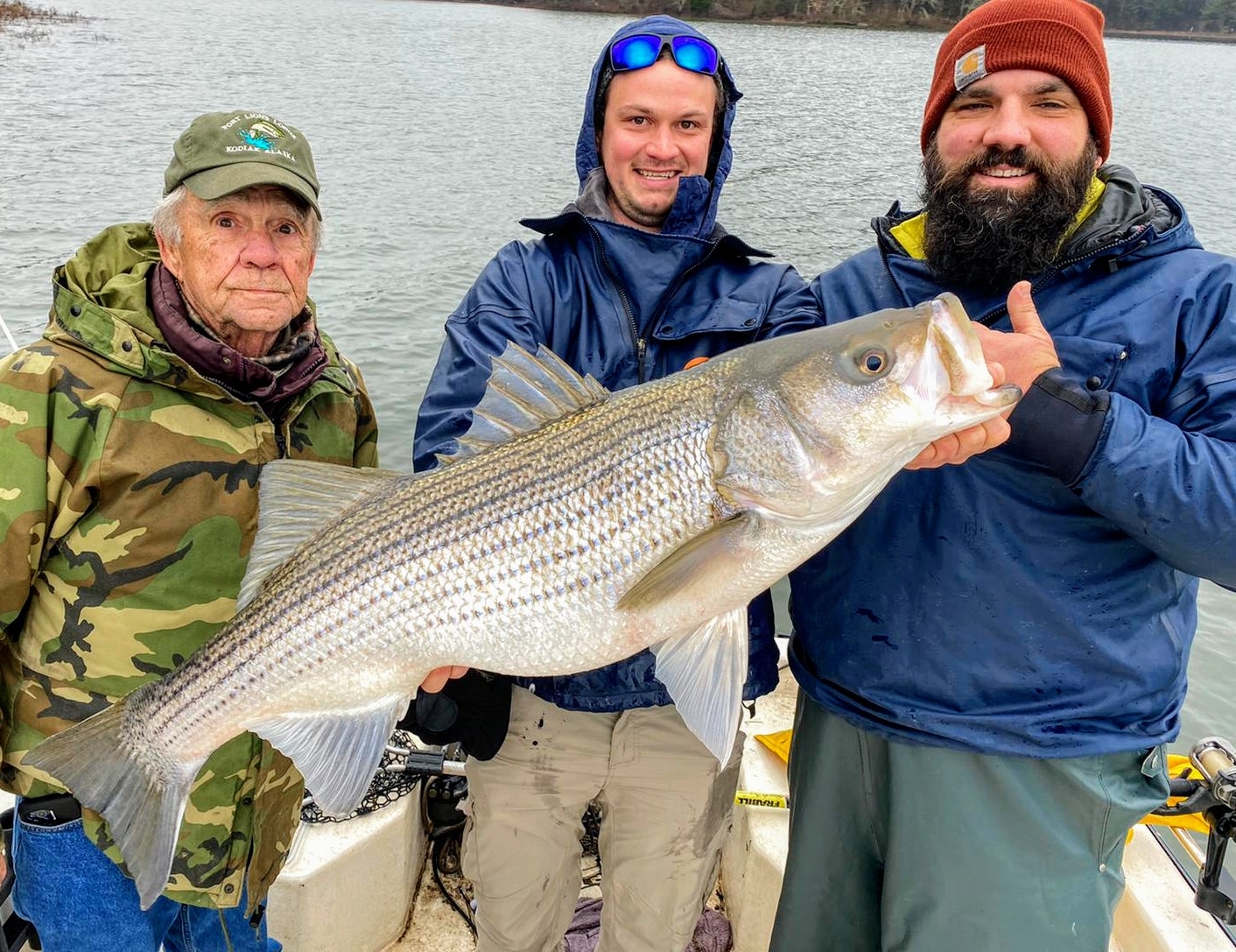 Striped Bass photo – Georgia Wildlife Blog