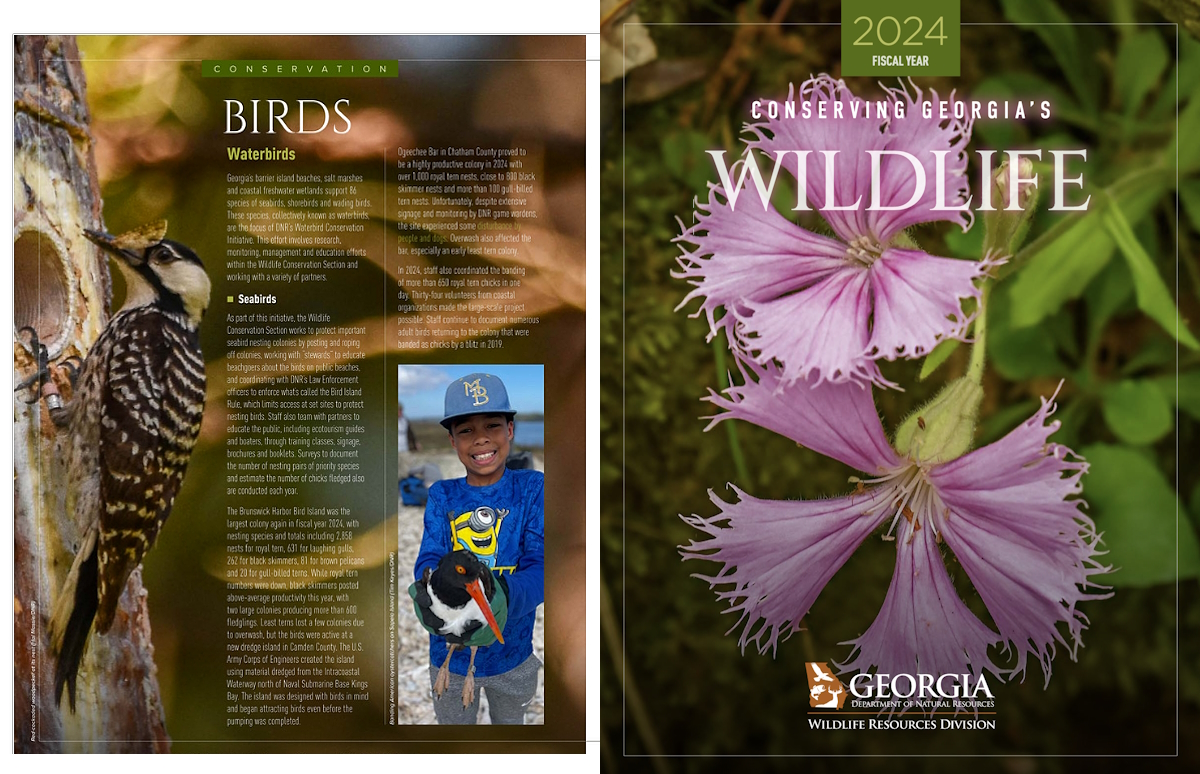 Georgia Wildlife Blog